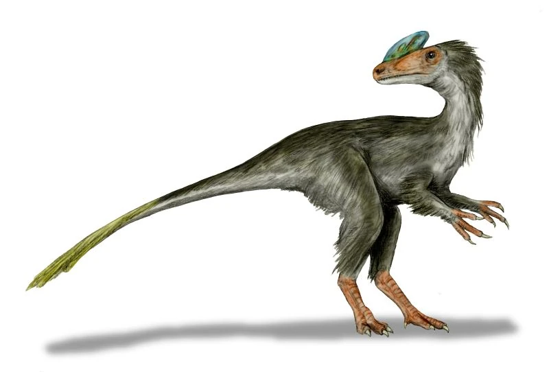 Guanlong | Fossil Wiki | Fandom