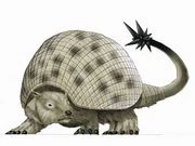 Doedicurus | Fossil Wiki | FANDOM powered by Wikia