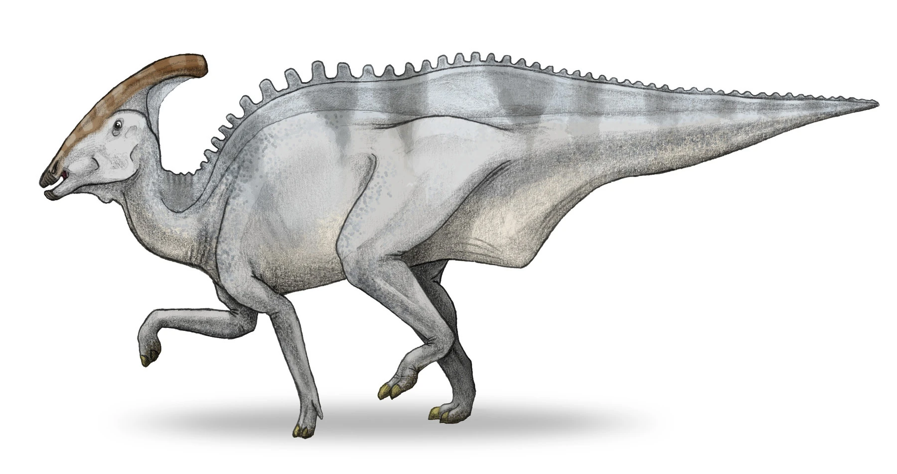 Charonosaurus | Fossil Wiki | Fandom
