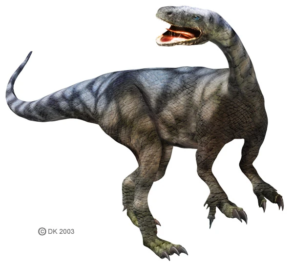 Palaeosaurus | Fossil Wiki | FANDOM powered by Wikia