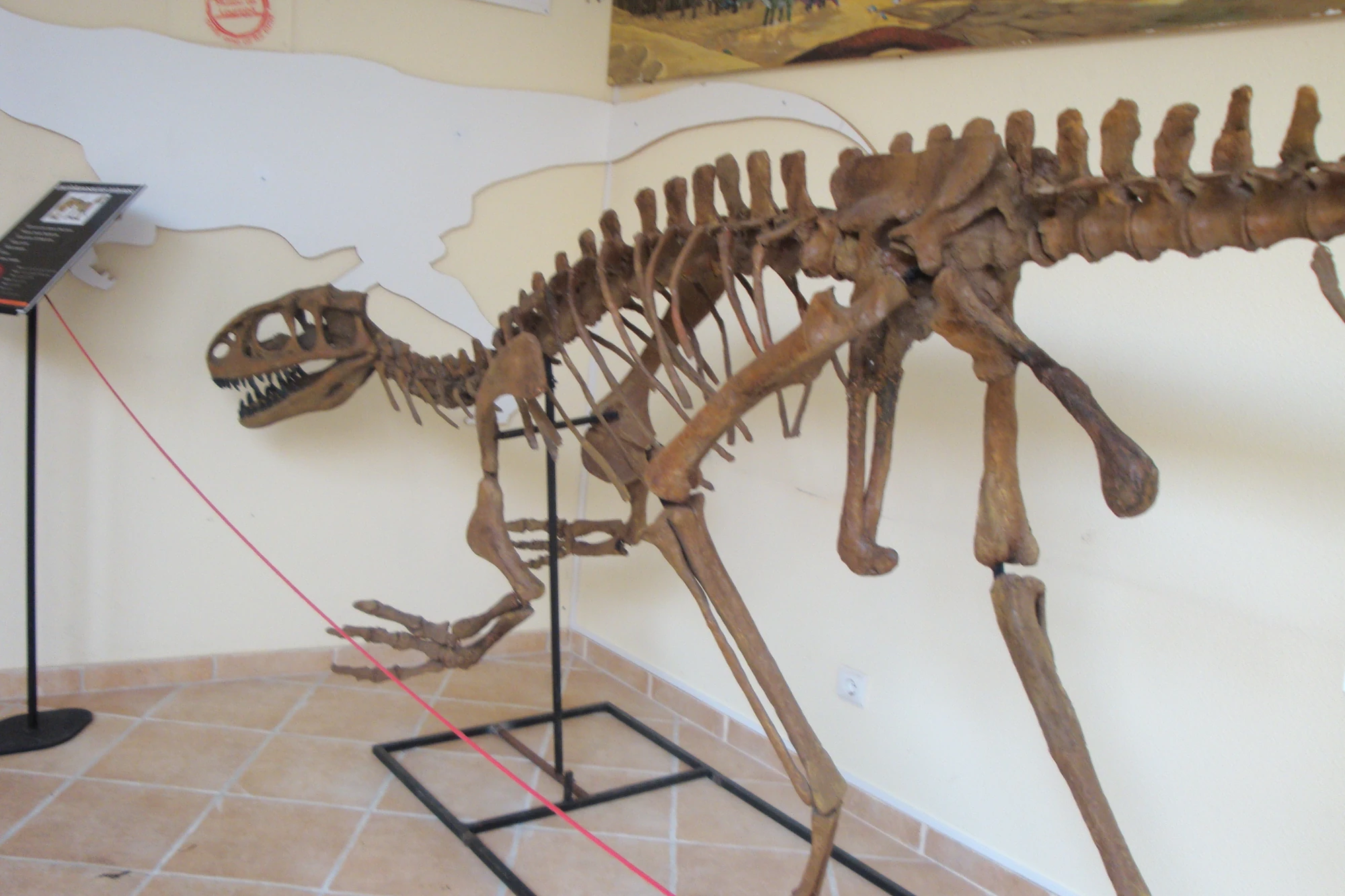 Lourinhã Formation | Fossil Wiki | FANDOM powered by Wikia