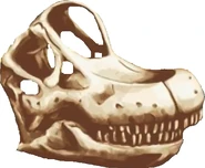 Brachio (DS) | Fossil Fighters Wiki | Fandom