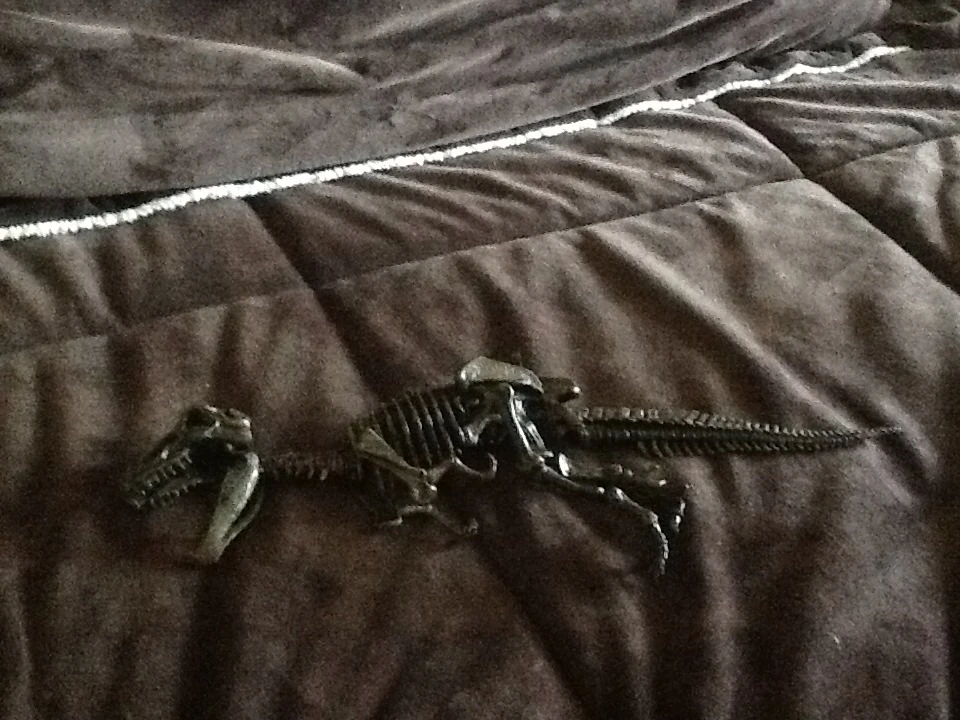 Image - Dead t rex.jpg | Fossils and Archeology Mod Revival Wiki ...