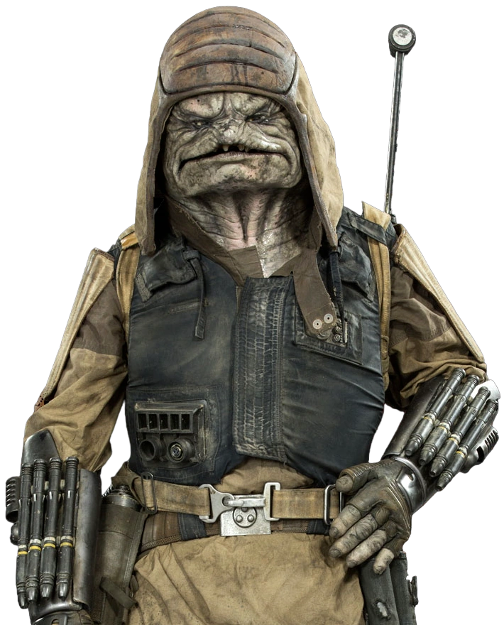 31 ABY | Star Wars Wiki | FANDOM powered by Wikia