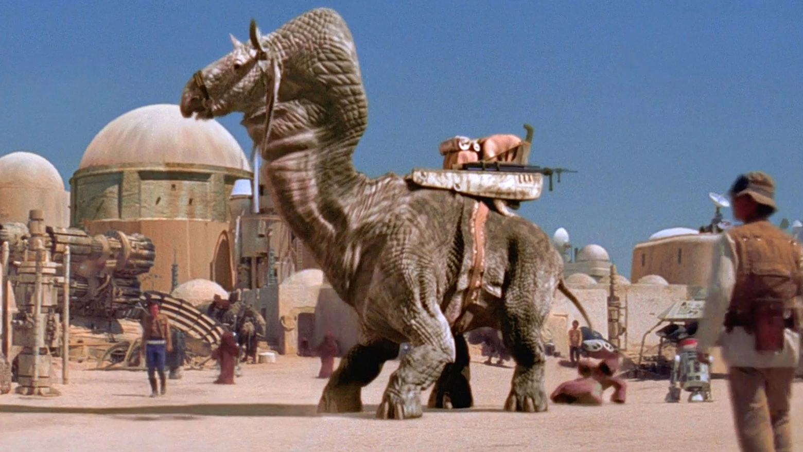 Ronto | Star Wars Wiki | Fandom