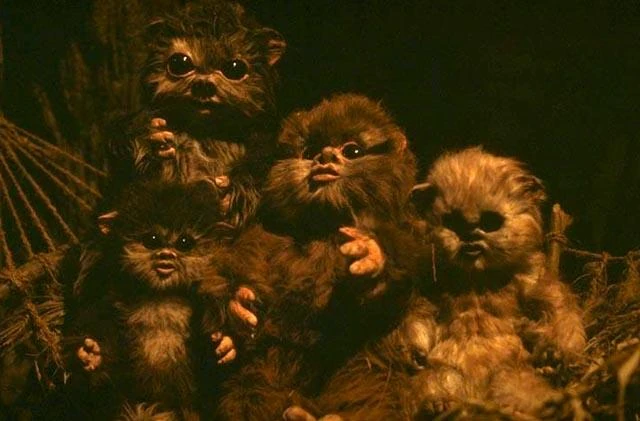 Ewok | Star Wars Wiki | FANDOM powered by Wikia