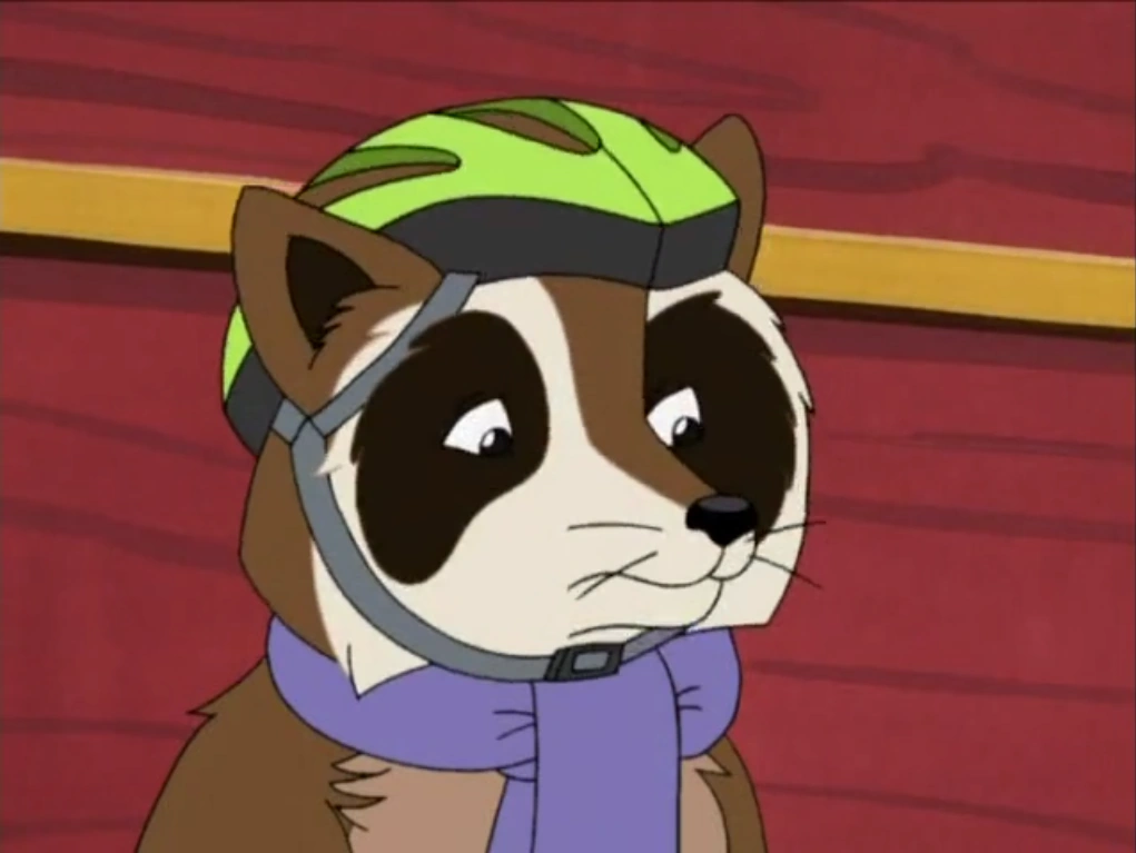Raccoon | Franklin Wiki | Fandom