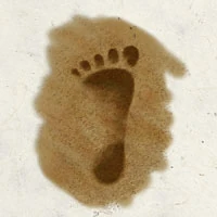 Brandobaris | Forgotten Realms Cormyr Wiki | Fandom