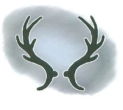 Oberon | Forgotten Realms Cormyr Wiki | Fandom