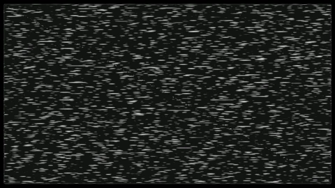 Image - Static.gif | Freddy Fazbears Pizzeria Simulator Wiki | FANDOM ...