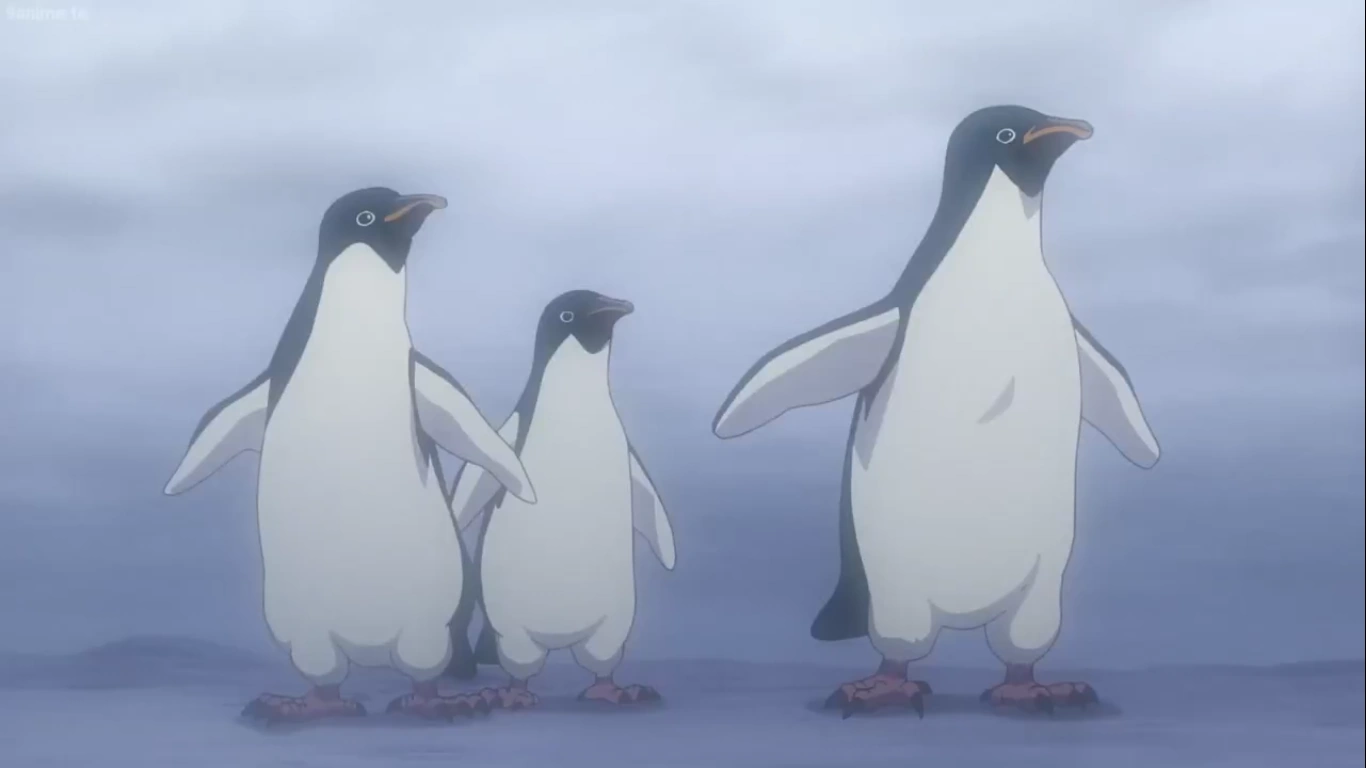 Penguins | Freezing Wiki | Fandom