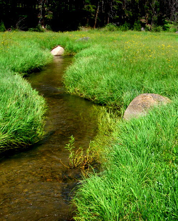 SCP-006 | Wiki Fundação SCP | Fandom
