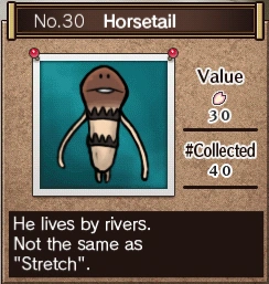 Horsetail | Funghi Gardening Wiki | Fandom