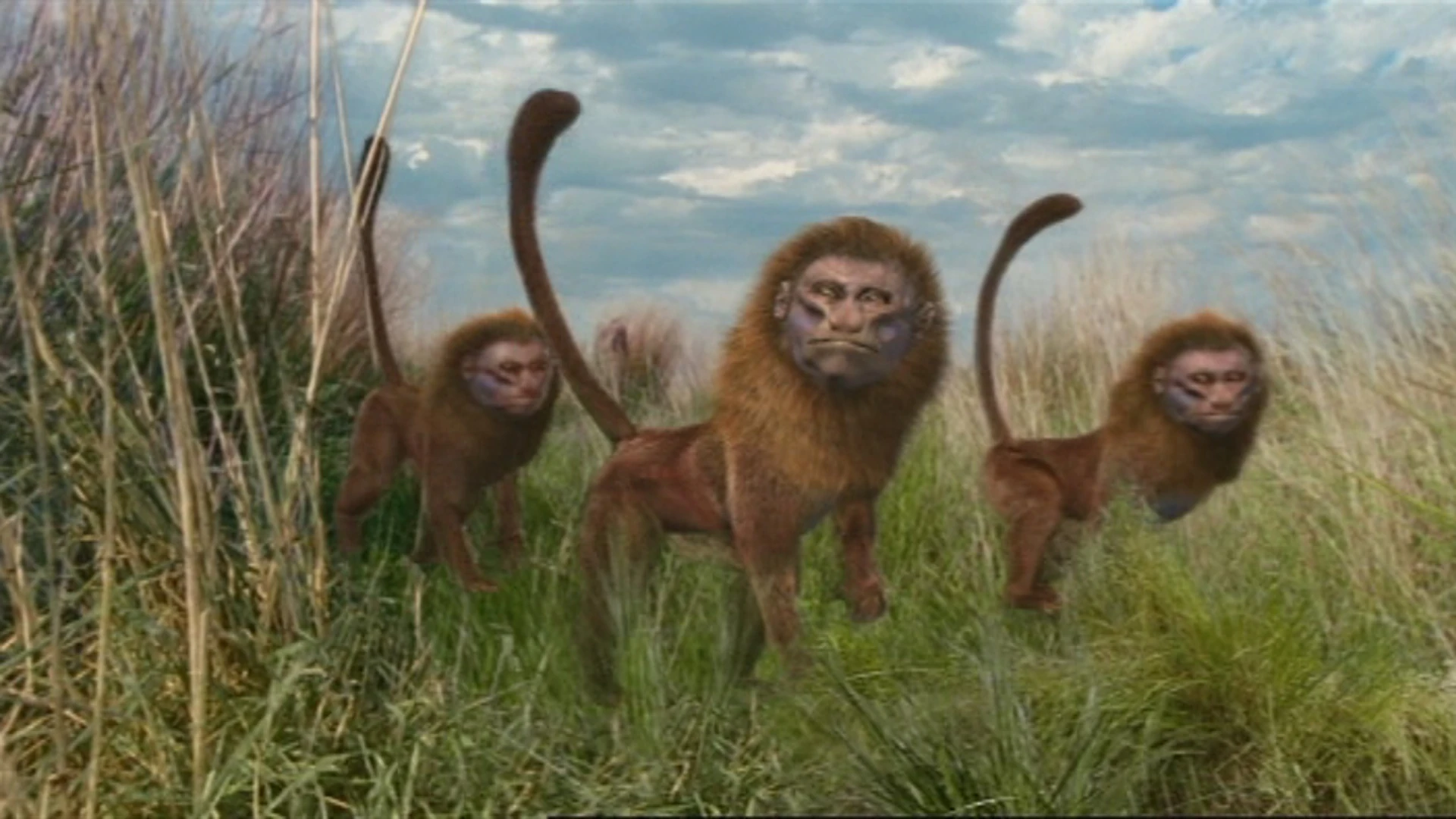 Babookari | The Future Is Wild Wiki | FANDOM powered by Wikia