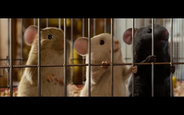 The mice trio | G-force Wiki | Fandom