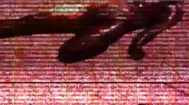 Squidward's Suicide | Gage's Famous Creepypasta Wikia | FANDOM powered ...