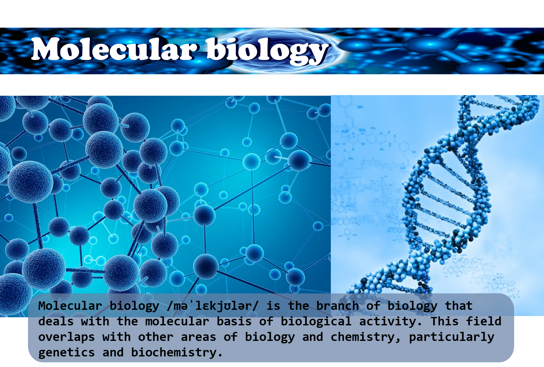 Image Molec Biopng Galnet Wiki Fandom Powered By Wikia