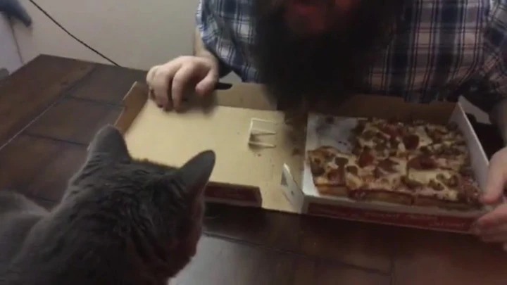 Turbo Crust | Game Society Pimps Wiki | Fandom