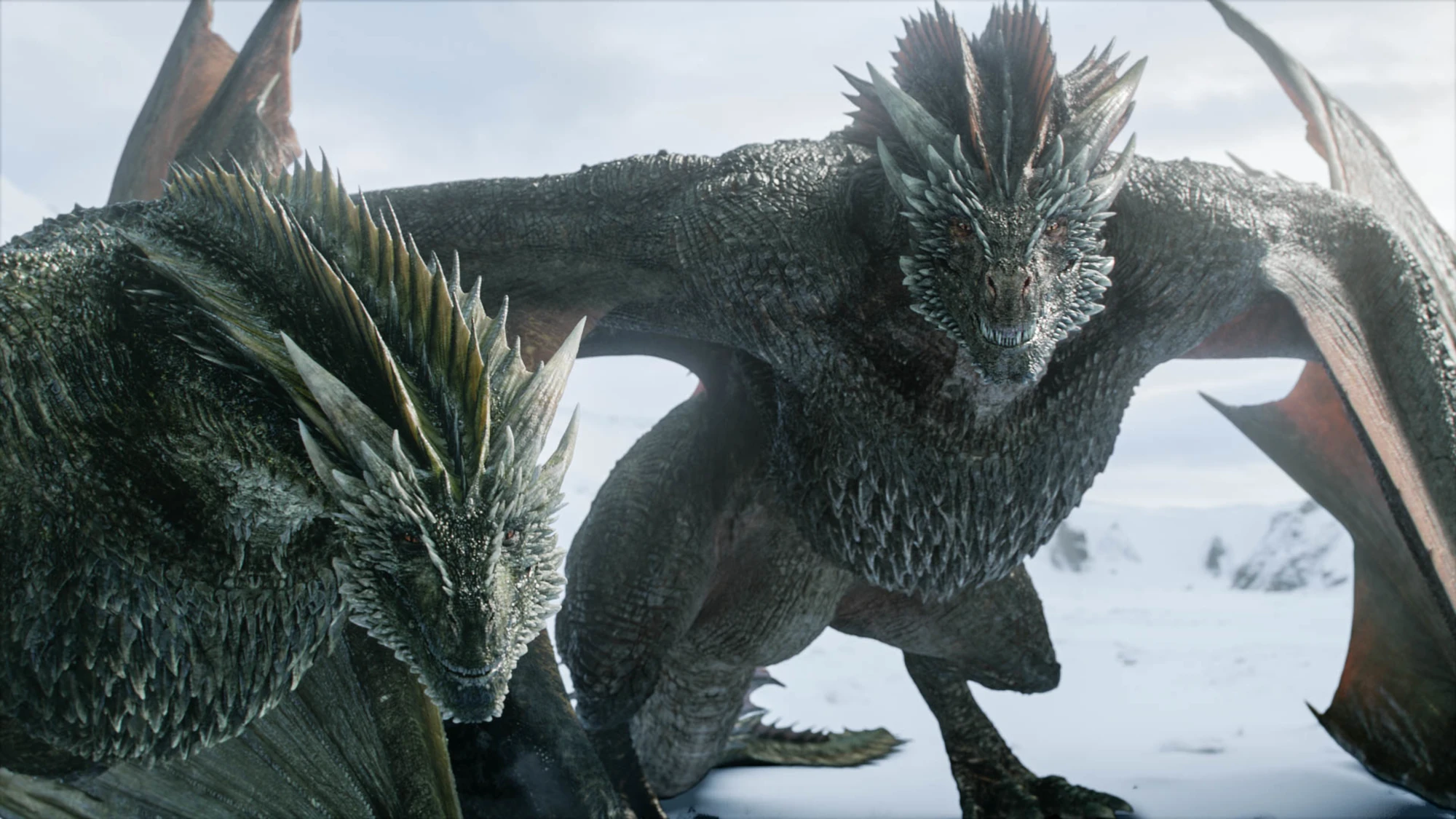 Dragons Game Of Thrones Wiki Fandom Dragons Game Of Thrones Wiki Fandom