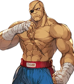 Sagat | Gaming Database Wiki | Fandom