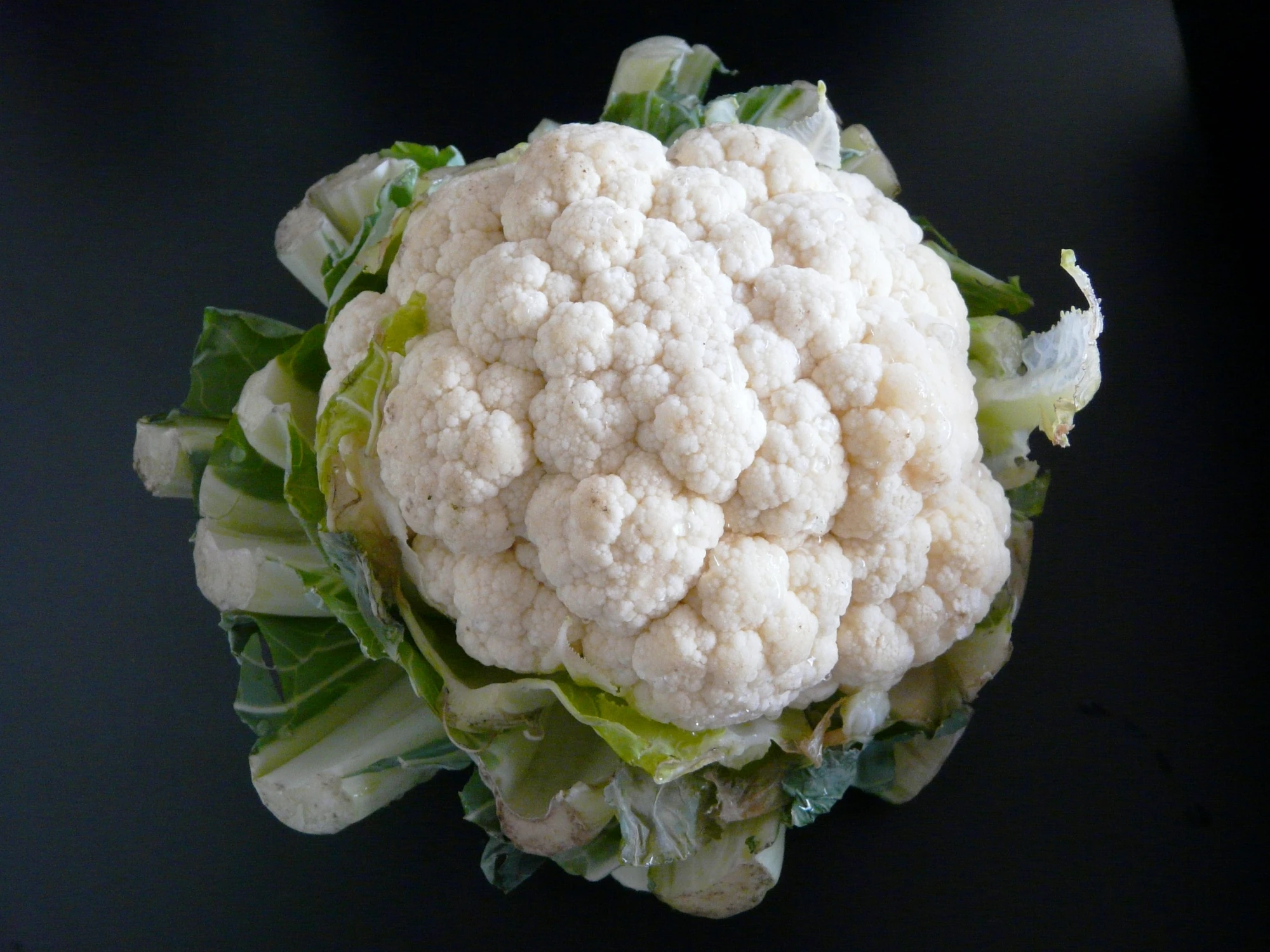Cauliflower | WikiGardener | FANDOM powered by Wikia