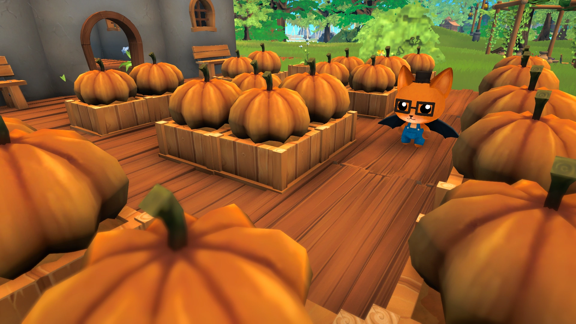 Pumpkin | Garden Paws Wiki | Fandom
