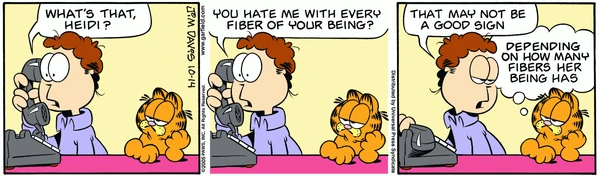 2005 | Garfield Comic Strips Wiki | Fandom