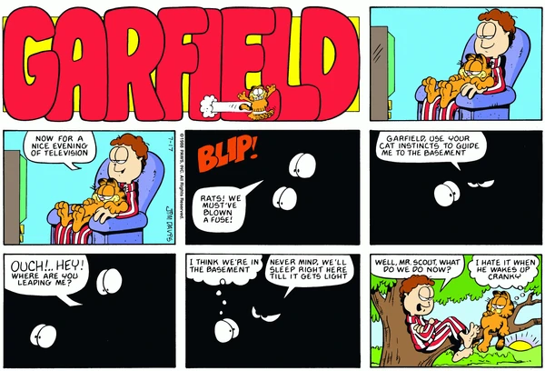 1988 | Garfield Comic Strips Wiki | Fandom