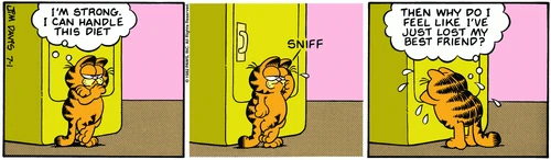 July 1 | Garfield Comic Strips Wiki | Fandom