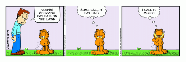 2015 | Garfield Comic Strips Wiki | Fandom