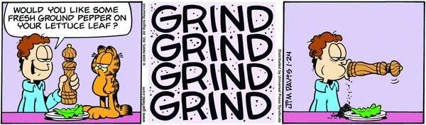 2008 | Garfield Comic Strips Wiki | Fandom