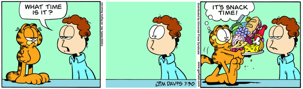 2005 | Garfield Comic Strips Wiki | Fandom