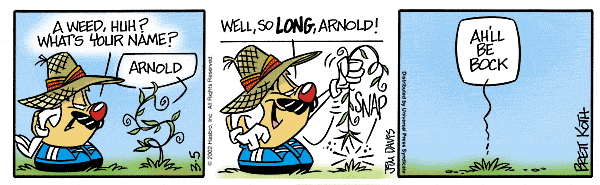 Mr. Potato Head, March 2002 comic strips | Garfield Wiki | Fandom