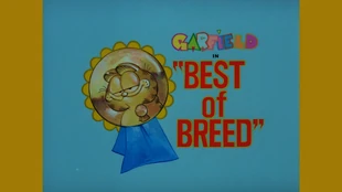 Best of Breed | Garfield Wiki | Fandom