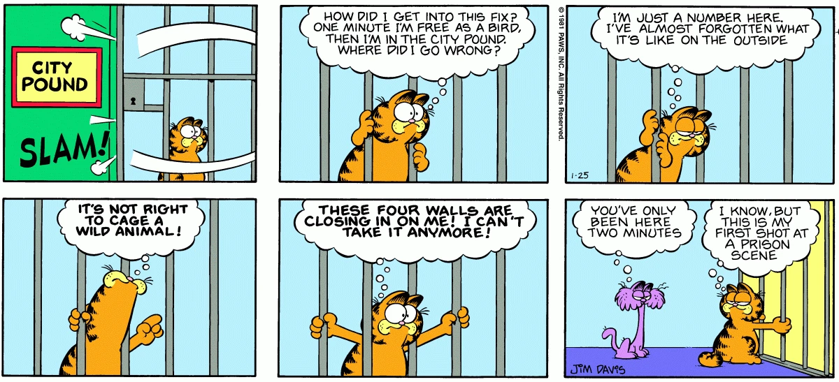 Guido (cat) | Garfield Wiki | Fandom