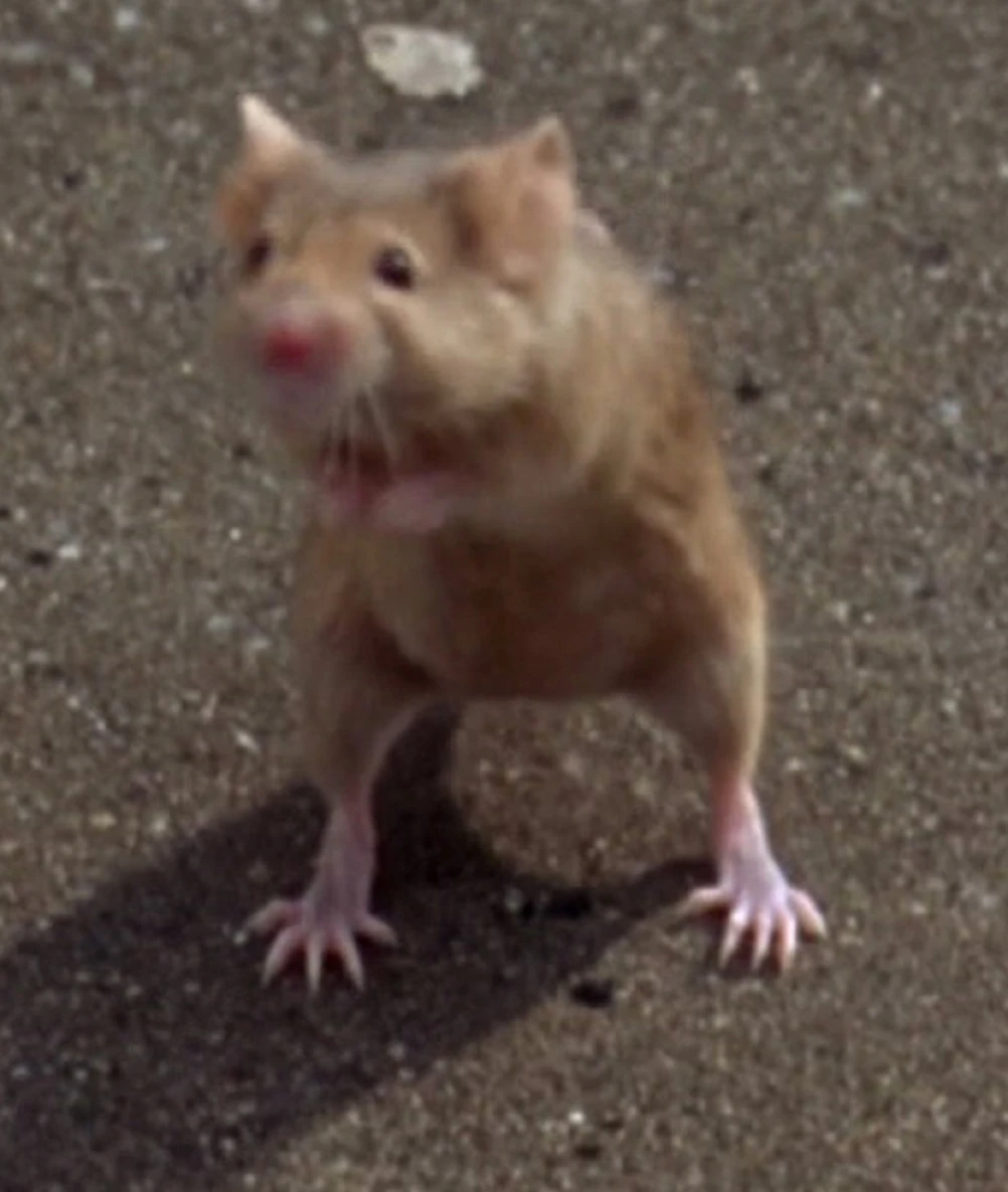 Louis | Garfield Wiki | Fandom