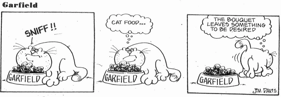 Jon, 1978 comic strips | Garfield Wiki | Fandom