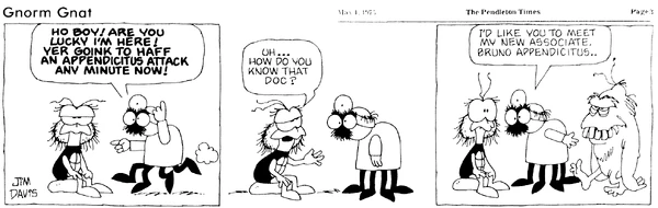 Gnorm Gnat, 1975 comic strips | Garfield Wiki | Fandom