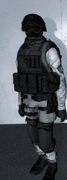 Роли(ВОФ) | (Garrys Mod) SCP RP вики | Fandom