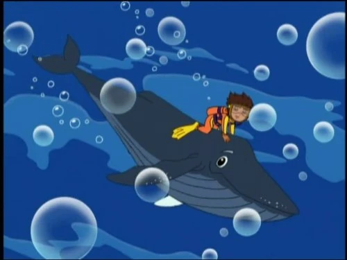 Diego and Baby Humpback to the Rescue | Go, Diego, Go! Wiki | Fandom