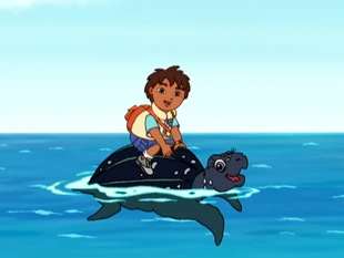 Save the Sea Turtles | Go, Diego, Go! Wiki | Fandom