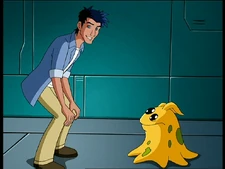 GASSIE | Genus evolution Wiki | Fandom