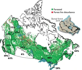 Taiga Shield | Geoclass Wiki | Fandom