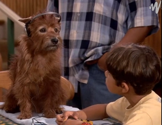 Mr. Needles | George Lopez Wiki | Fandom