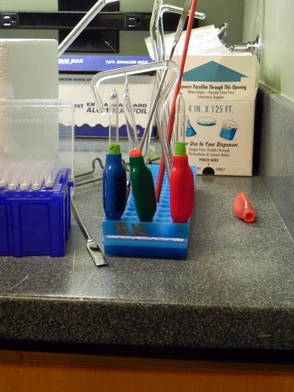 Worm Pick | Get Your Science On Wiki | Fandom