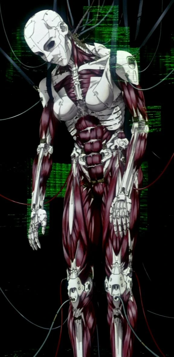 Cyborg | Ghost in the Shell Wiki | Fandom