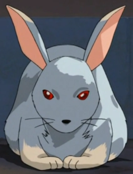 Shirotabi | Gakkou No Kaidan Wiki | Fandom