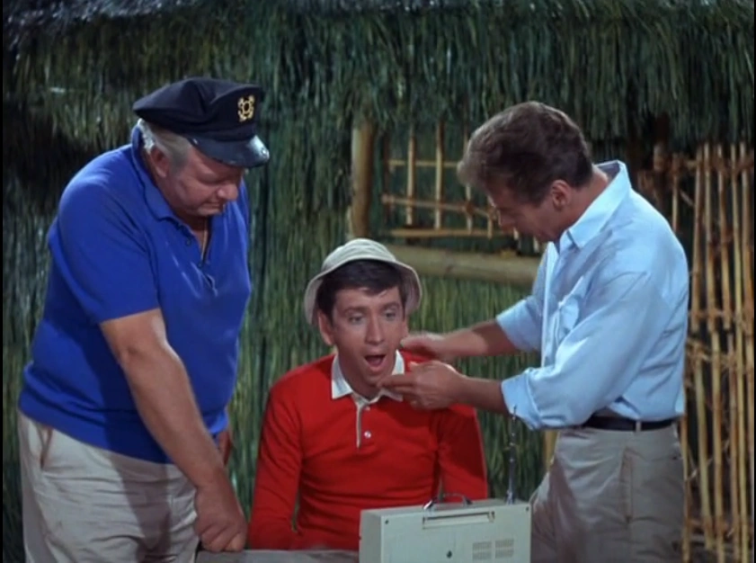 Hi-Fi Gilligan | Gilligan's Island Wiki | Fandom