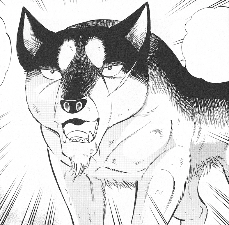 Kawasemi/Galerie | Ginga Wiki | Fandom