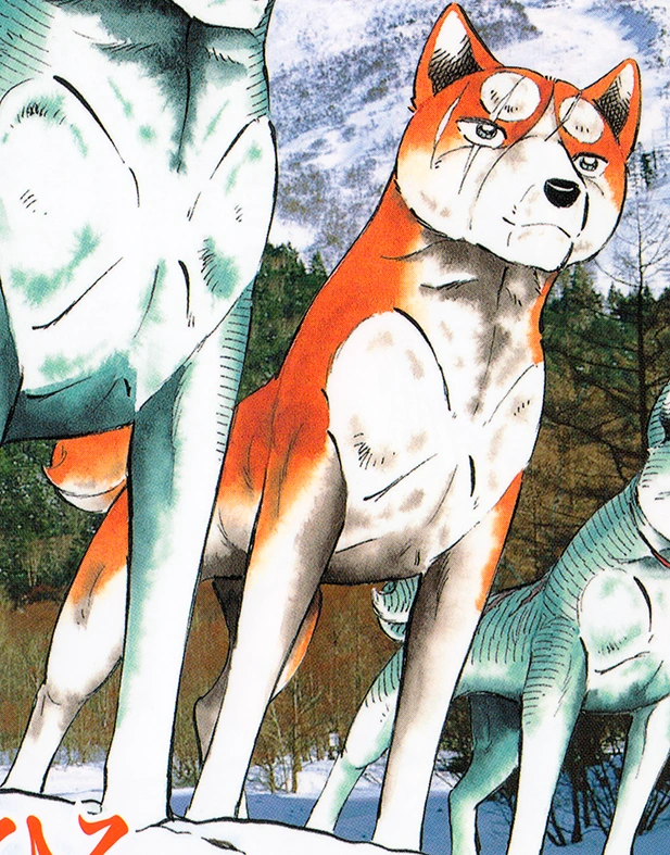 Yukimura/Galerie | Ginga Wiki | Fandom